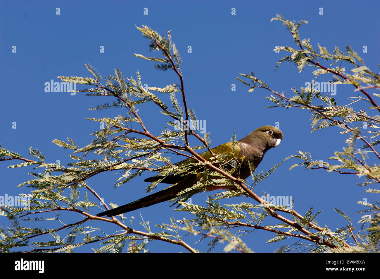 10835665 hi-res stock photography and images - Alamy