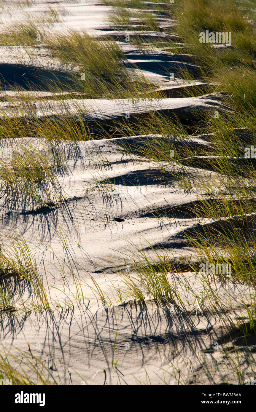 Sand dune wind patterns hi-res stock photography and images - Alamy