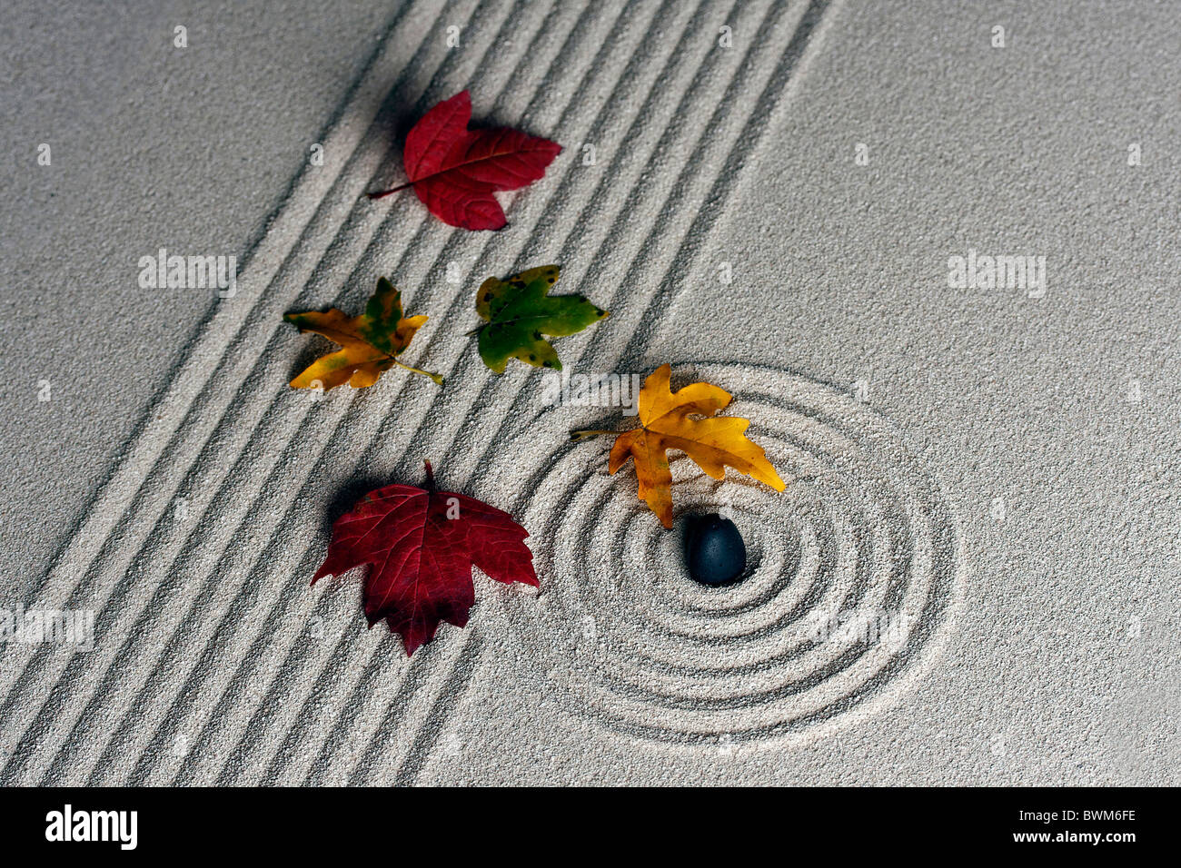 raked sand - zen rock garden - japan zen spirit inspired arrangement ...