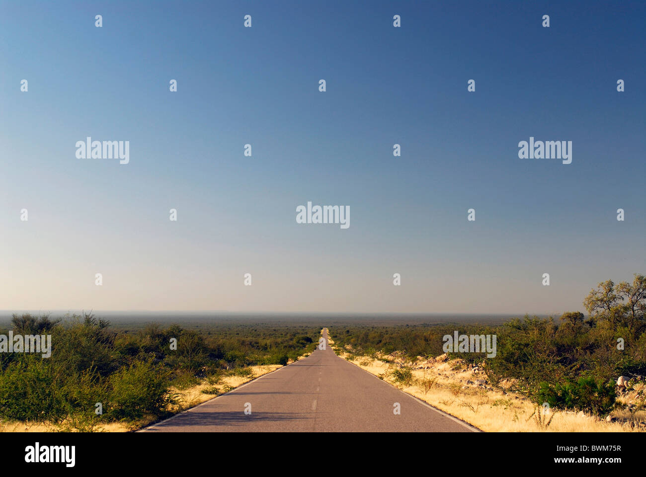 510 hi-res stock photography and images - Alamy