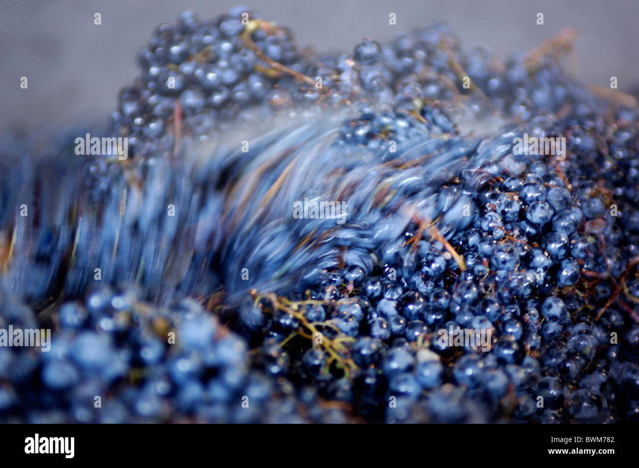 10835771 hi-res stock photography and images - Alamy