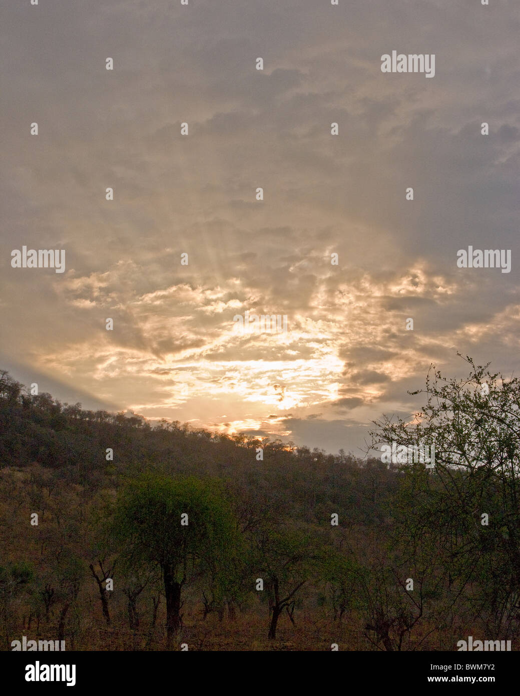 African heaven hi-res stock photography and images - Alamy