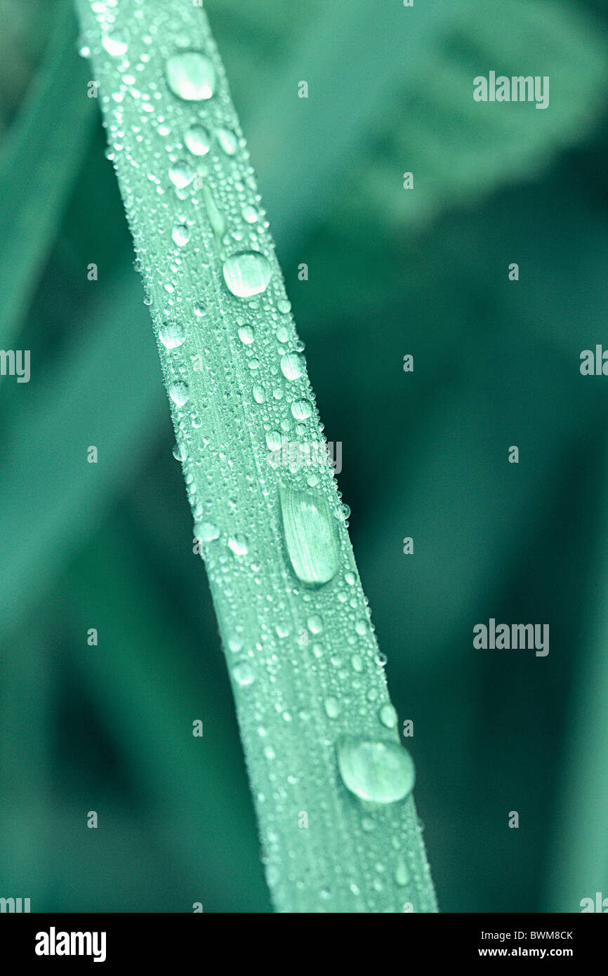Background Backgrounds Color Colour Concept Concepts Day Daytime ...