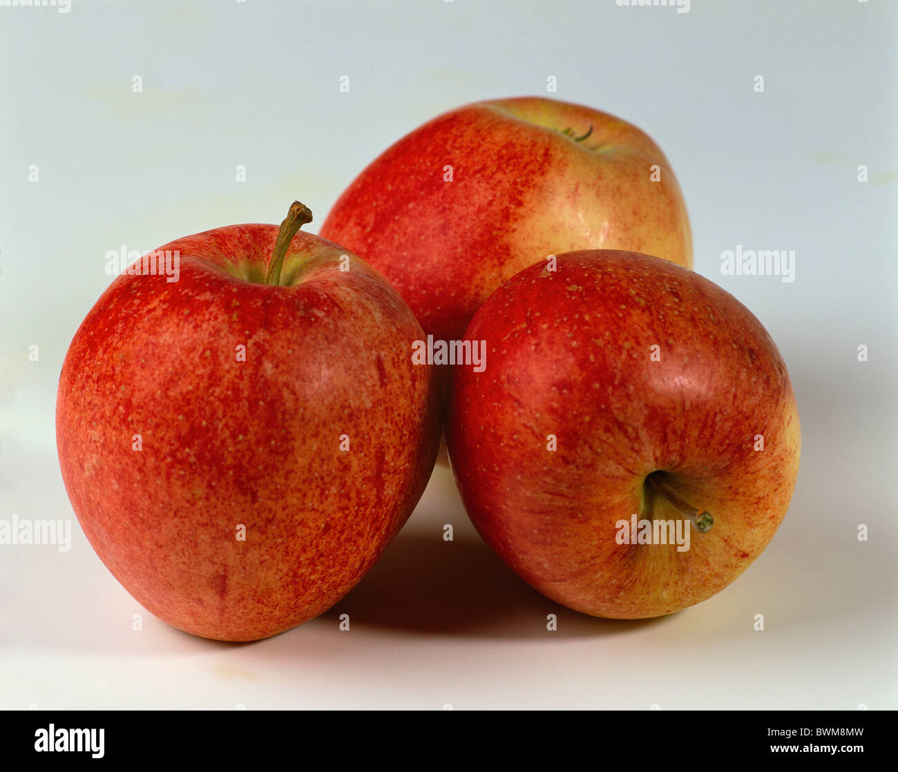 Inside gala hi-res stock photography and images - Alamy