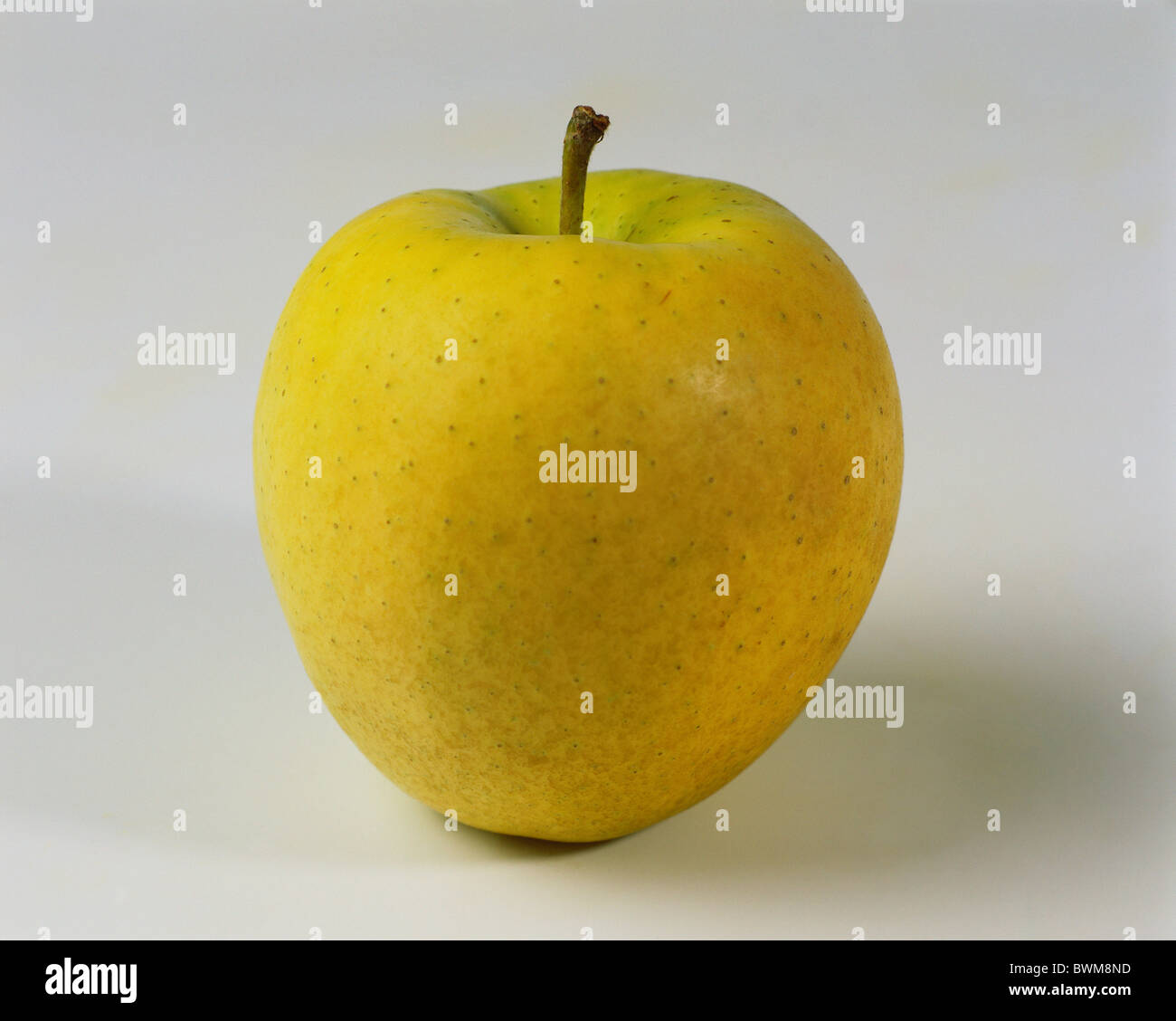 10830959 hi-res stock photography and images - Alamy