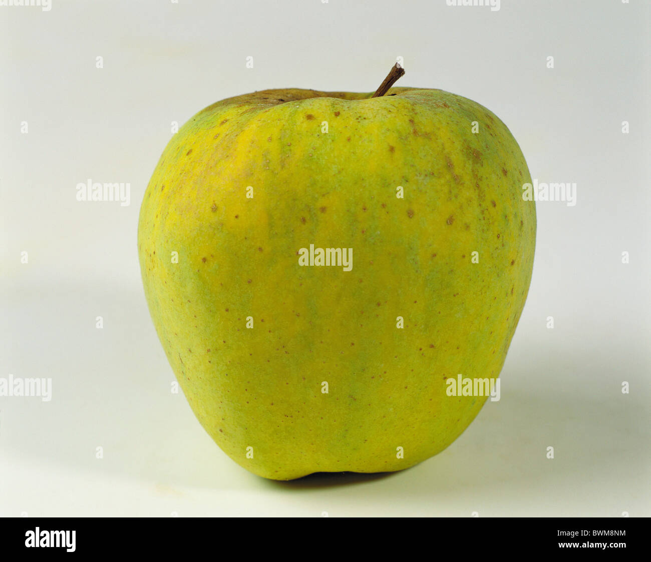 10830960 hi-res stock photography and images - Alamy