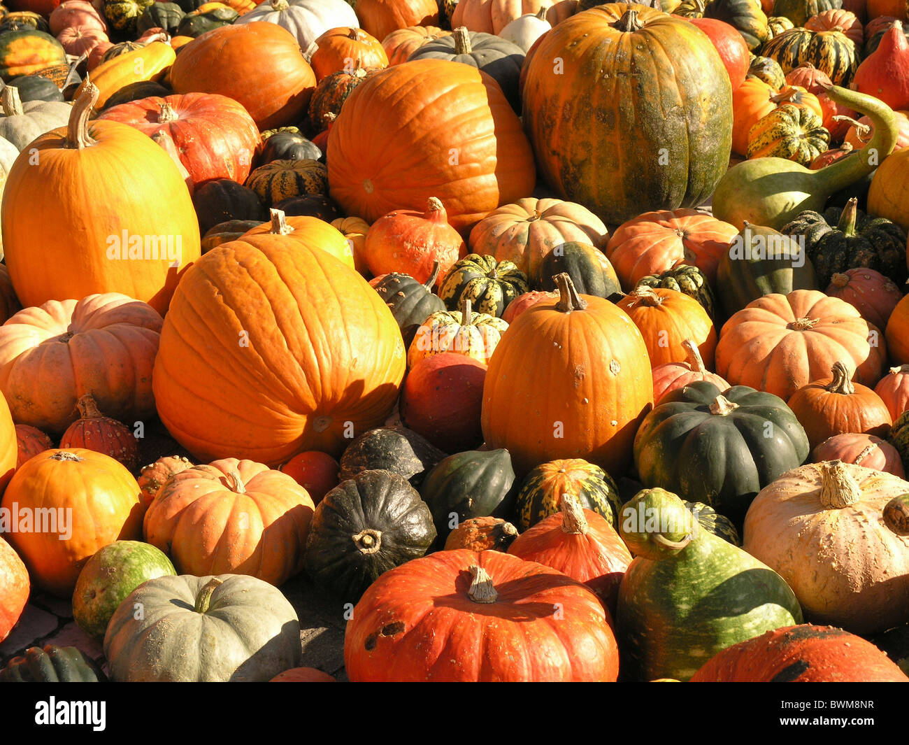 10835904 hi-res stock photography and images - Alamy