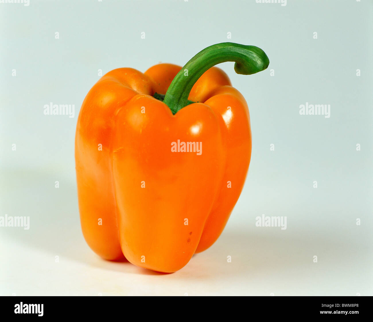 10830962 hi-res stock photography and images - Alamy