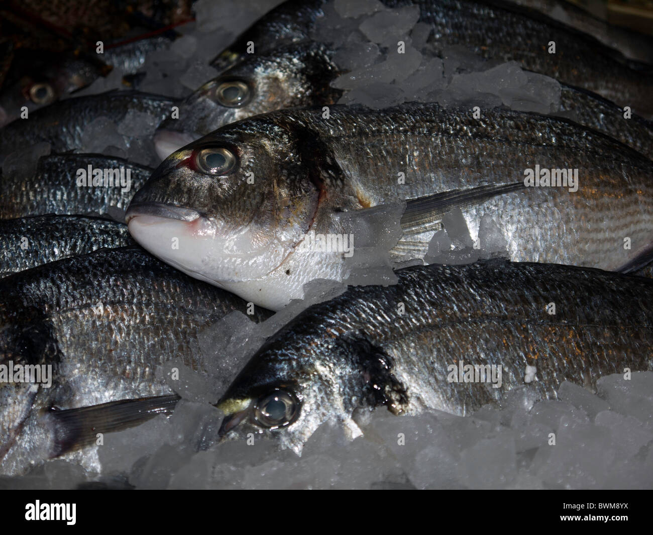 Fresh fish for sale at Borough Market in London Stock Photo - Alamy