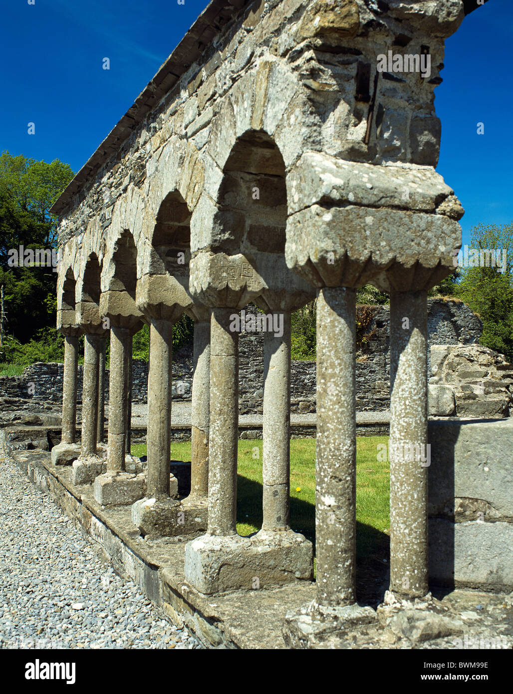 Ireland Europe Mellifont Abbey abbey cloister Cistercian ruins cloister ...