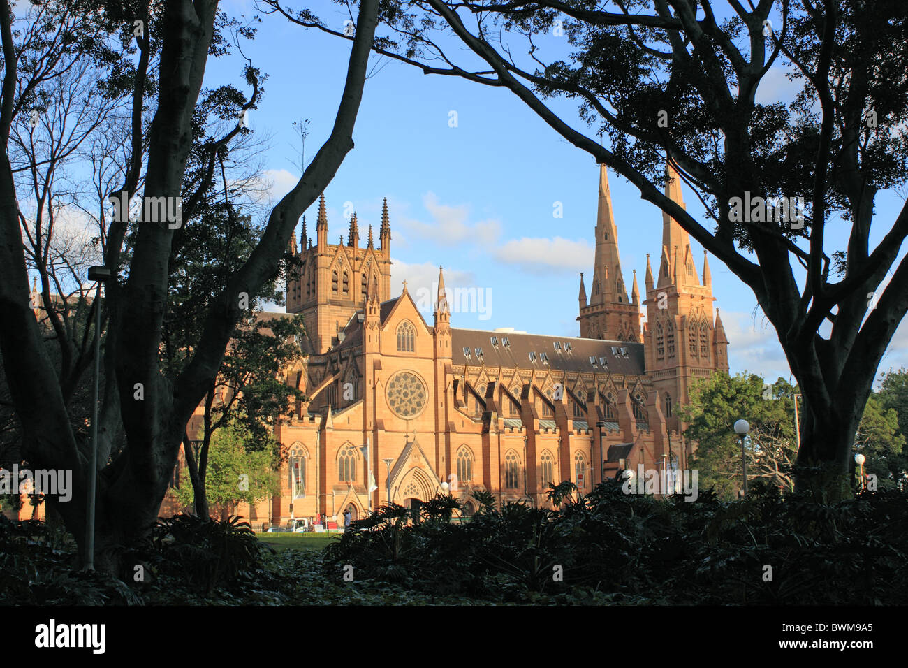 St Marys Cathedral Sydney Stock Photos & St Marys Cathedral Sydney ...