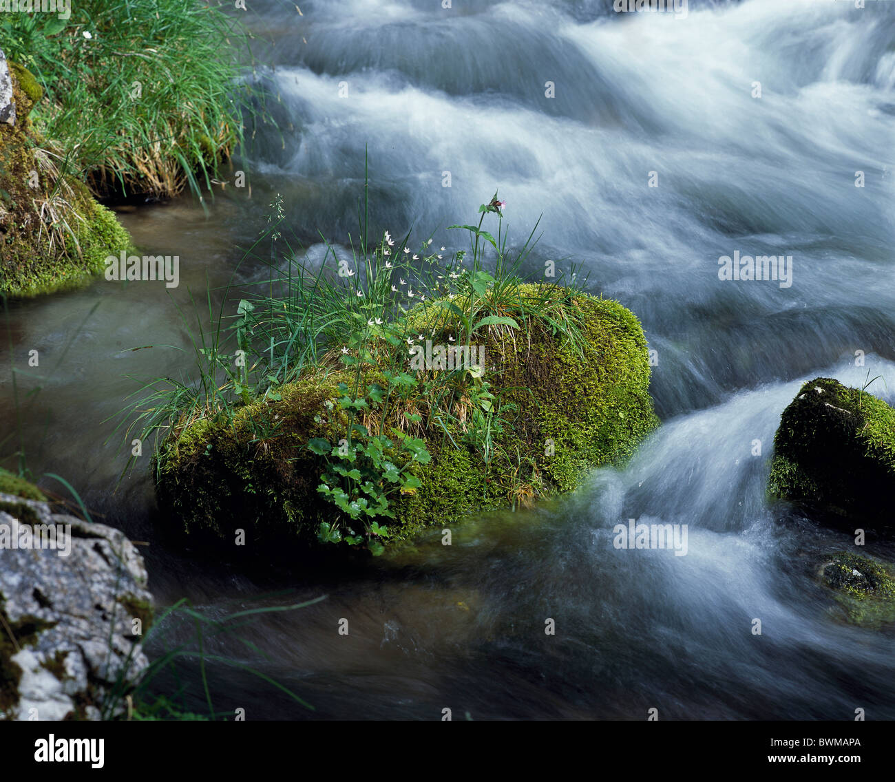 10831077 hi-res stock photography and images - Alamy