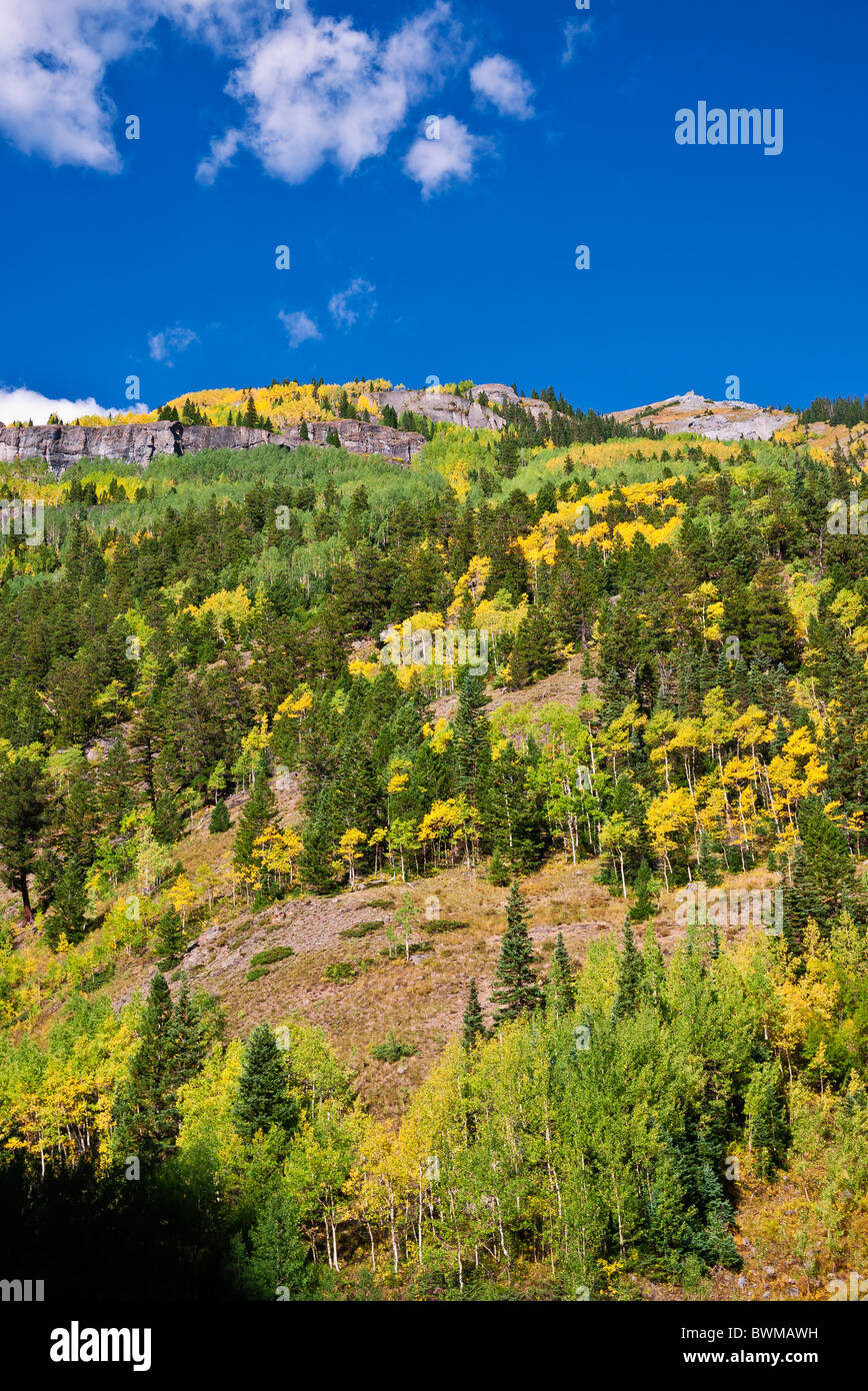 Fall color on the San Juan Skyway (Highway 550), Uncompahgre National ...