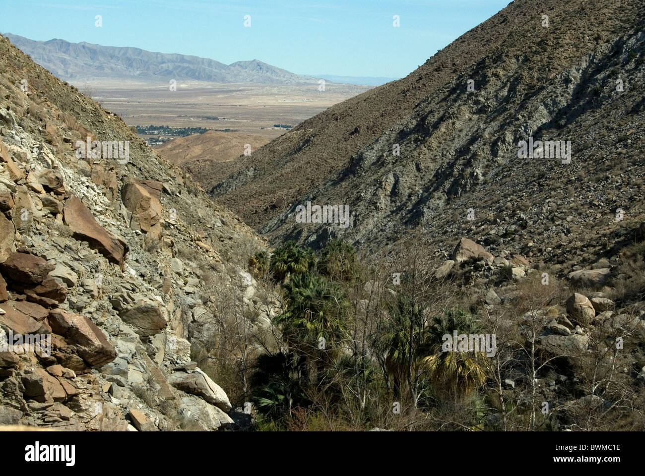USA America United States North America California Anza Borrego Desert ...
