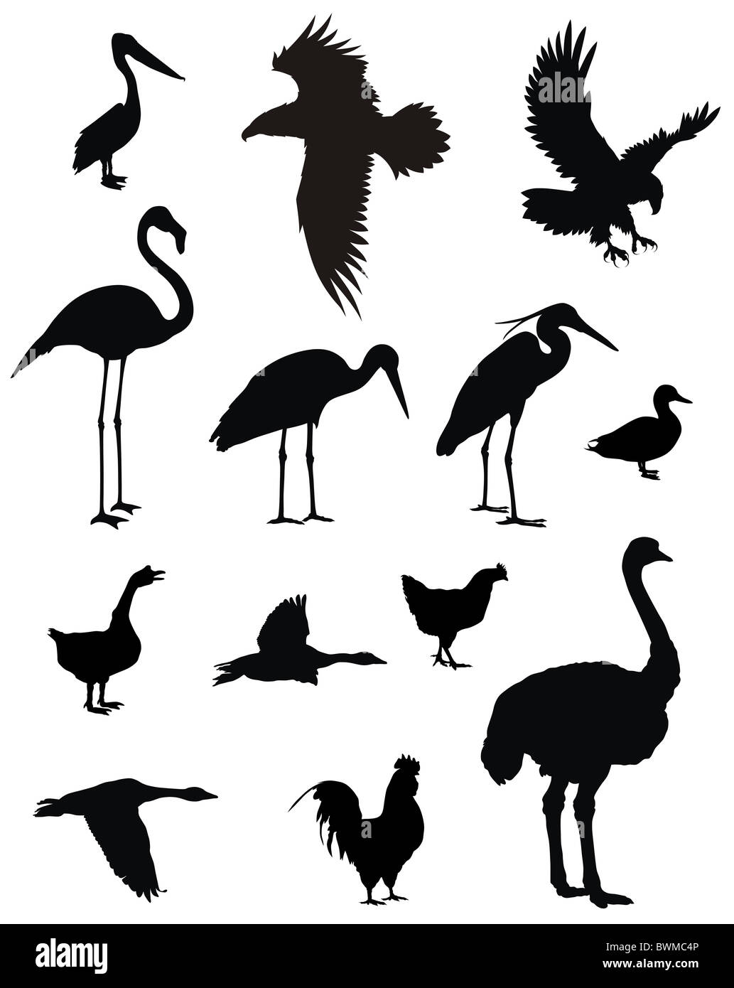 Illustration of bird silhouettes Stock Photo - Alamy