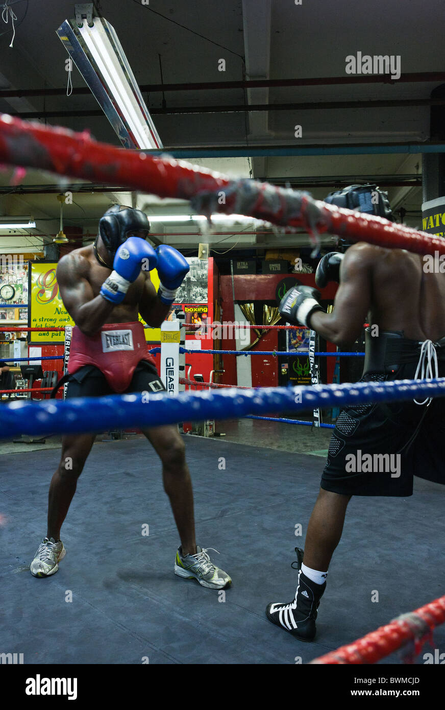 U.S.A., New York, Brooklyn, the Gleason Gym Stock Photo - Alamy