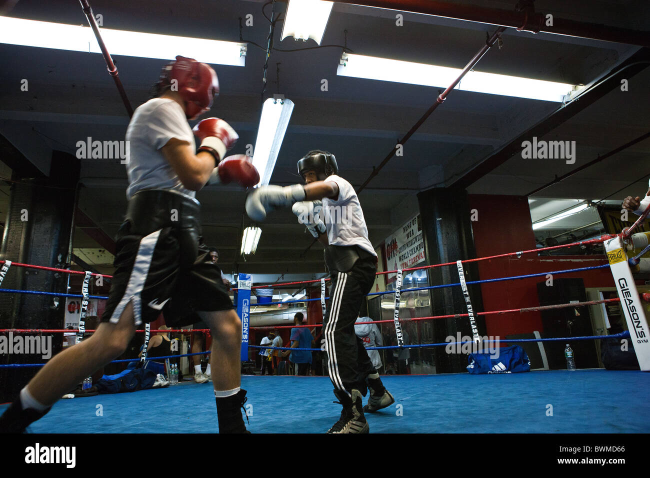 U.S.A., New York, Brooklyn, the Gleason Gym Stock Photo - Alamy