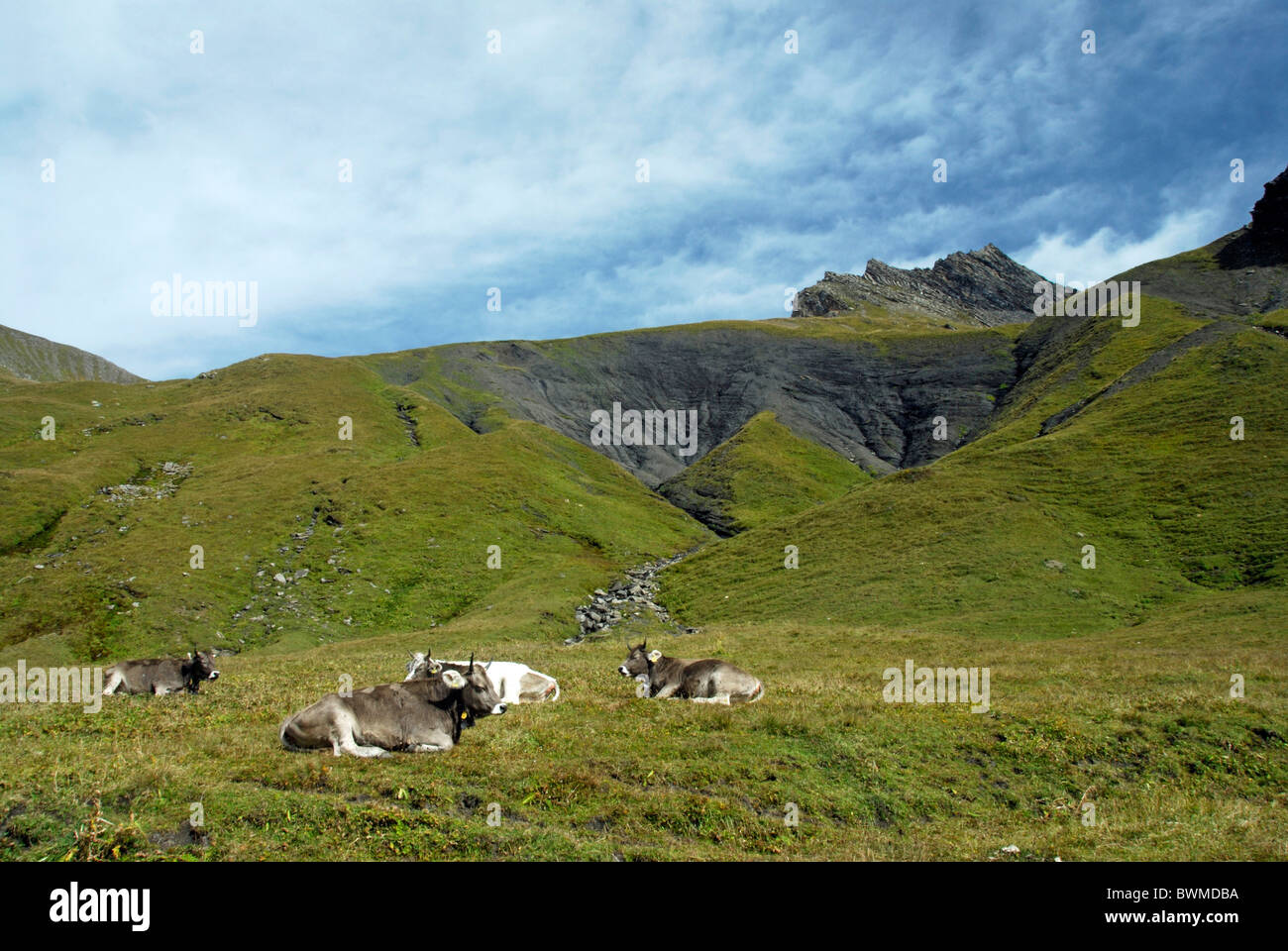 10836259 hi-res stock photography and images - Alamy