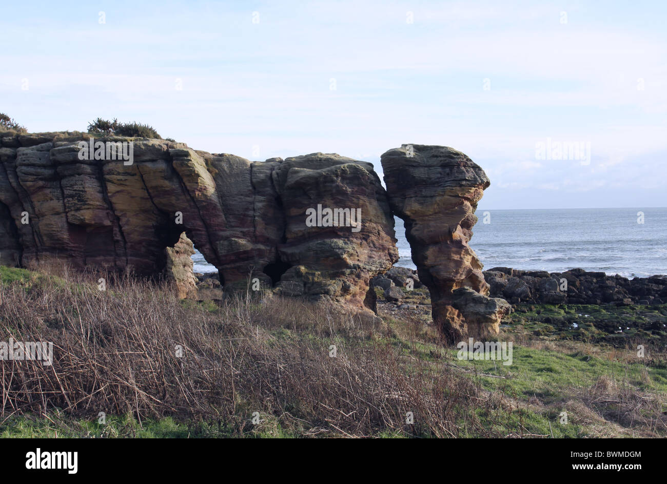 Caiplie Caves sandstone rock formation on Fife Coastal Path Scotland ...