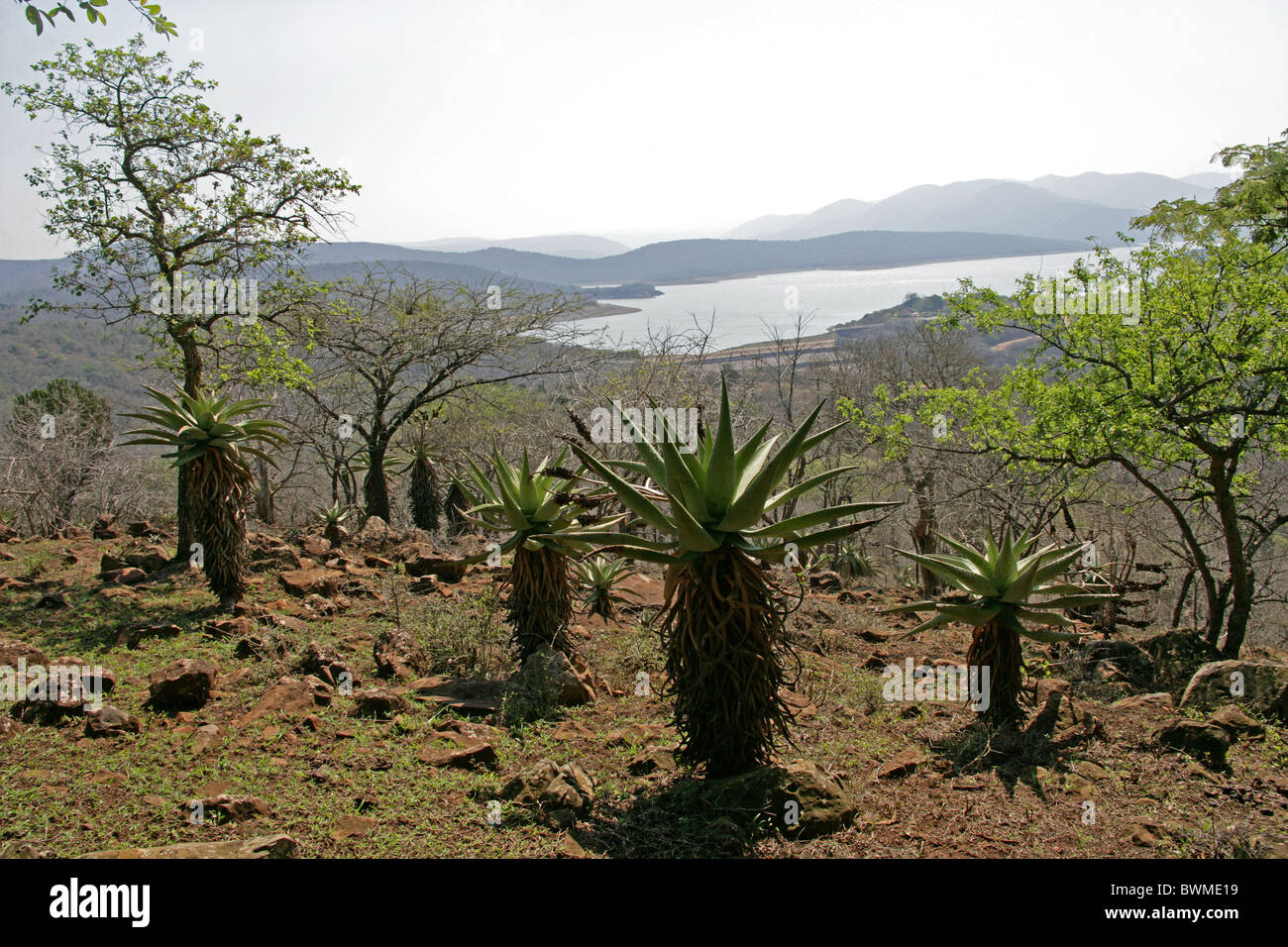 The View Down the Nkwalini Valley from Shakaland Zulu Village, Kwazulu ...