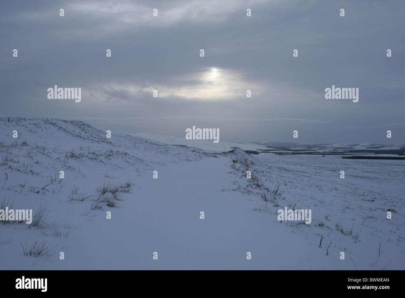 Moorfoot hi-res stock photography and images - Alamy