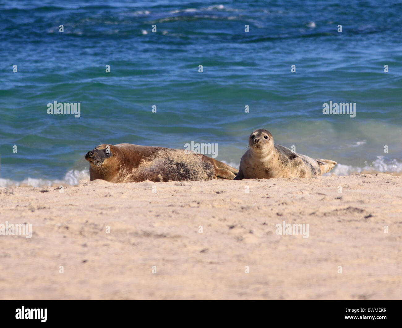 Hebridean islands hi-res stock photography and images - Alamy