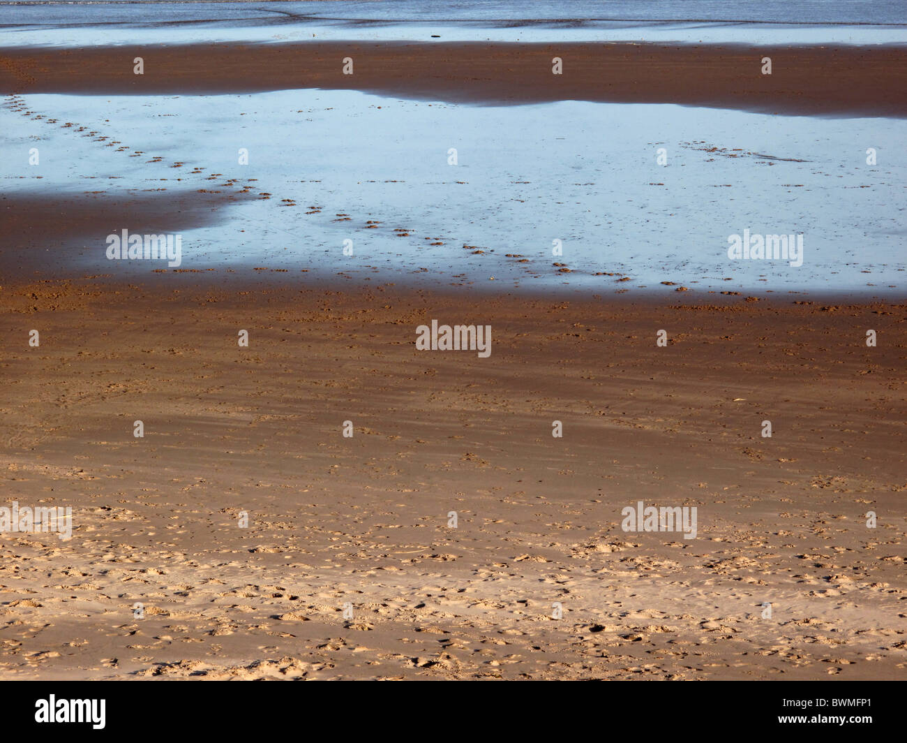 Lunan bay scotland hi-res stock photography and images - Alamy