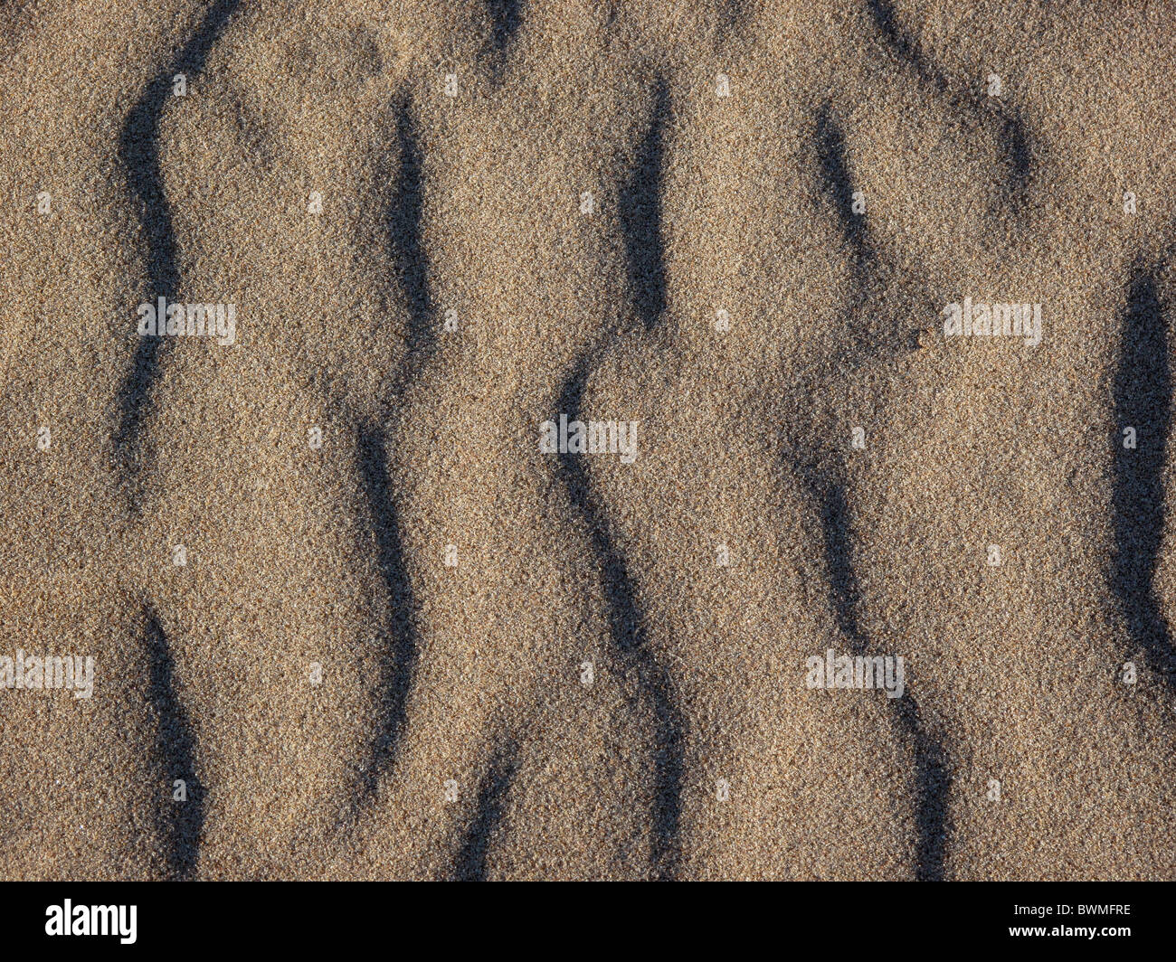 Lunan bay uk hi-res stock photography and images - Alamy