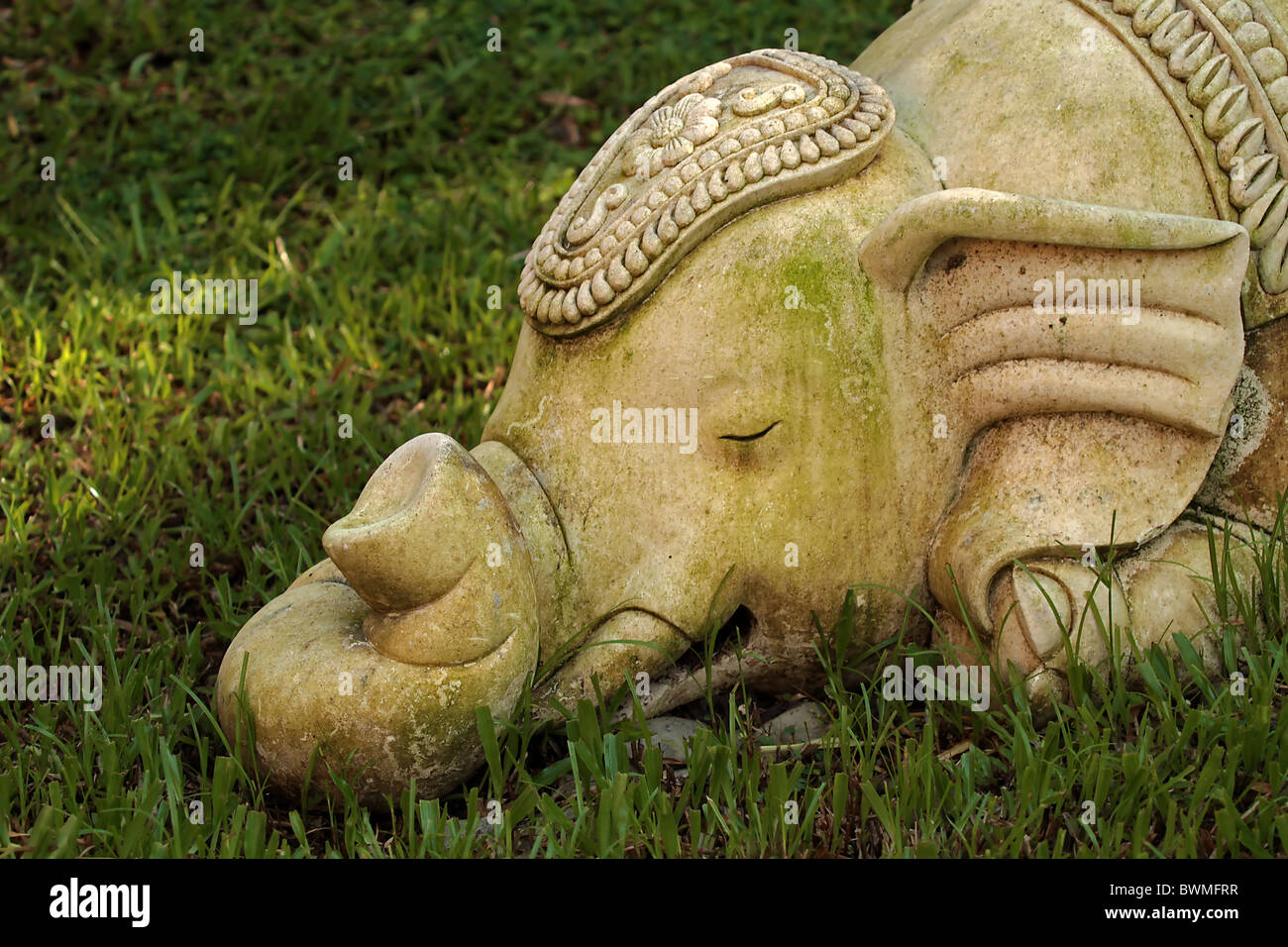 Sleeping elephant hi-res stock photography and images - Alamy