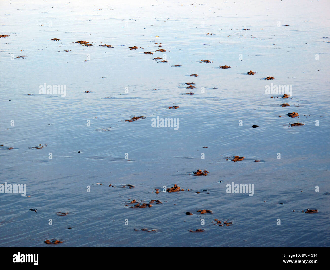 Lunan bay scotland hi-res stock photography and images - Alamy