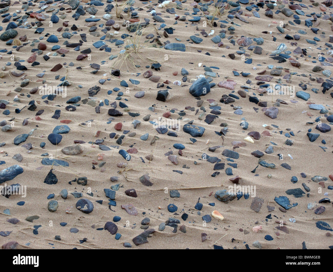 Newburgh beach - dunes and sand - shore - Ythan estuary - Newburgh ...