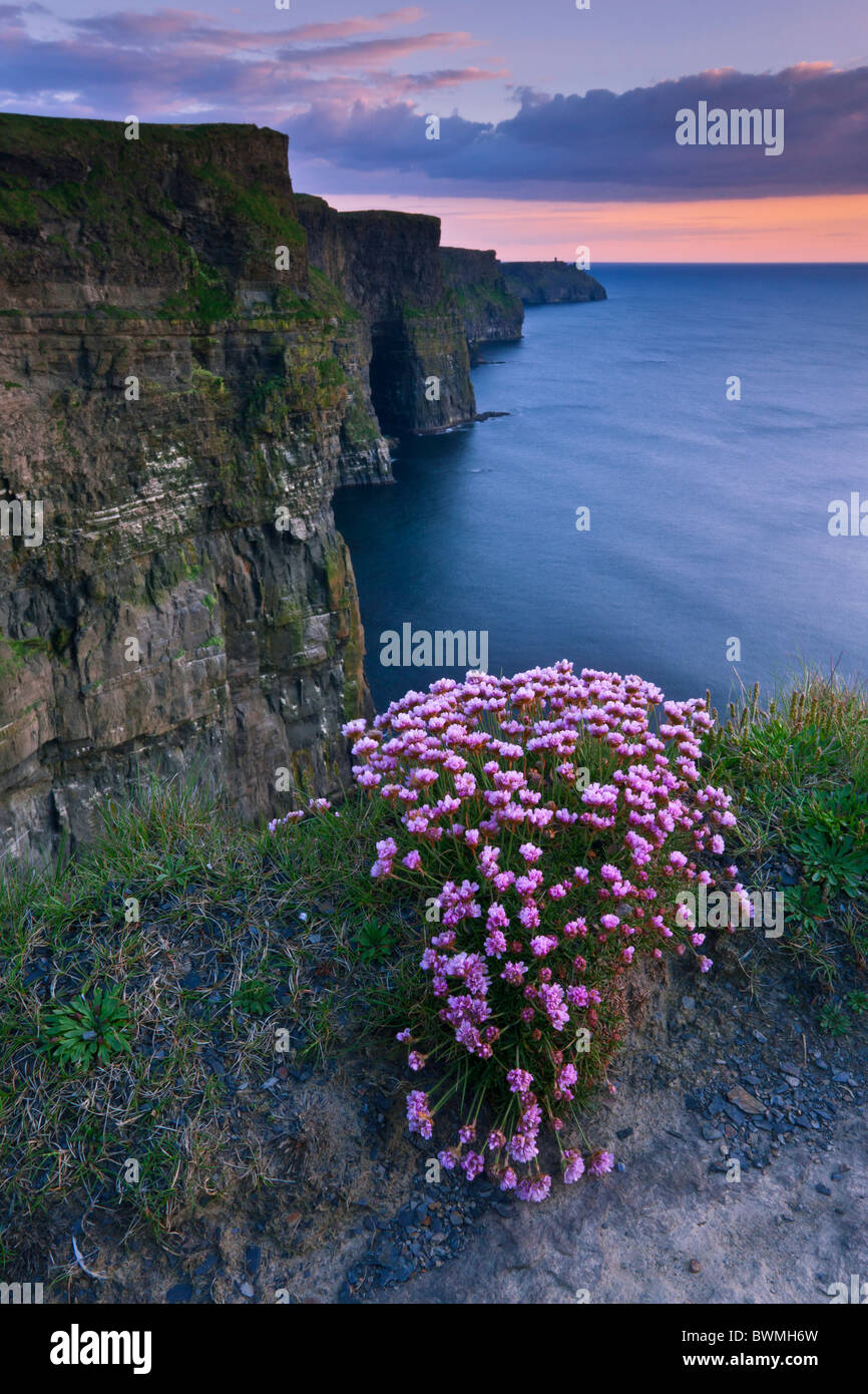 Cliffs of Moher at sunset Stock Photo - Alamy