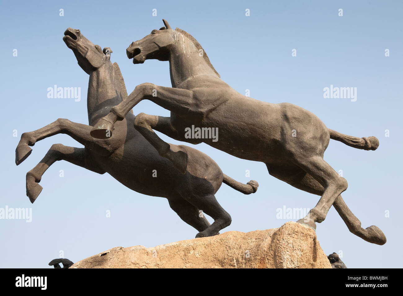 Galloping horses low angle hi-res stock photography and images - Alamy