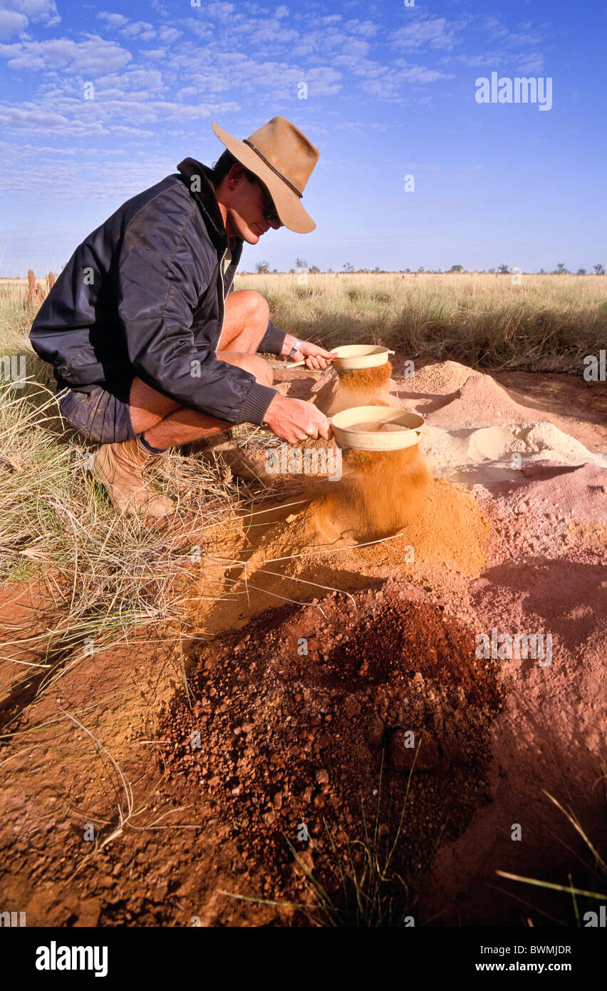 Geologist mineral exploration, Western Australia Stock Photo - Alamy
