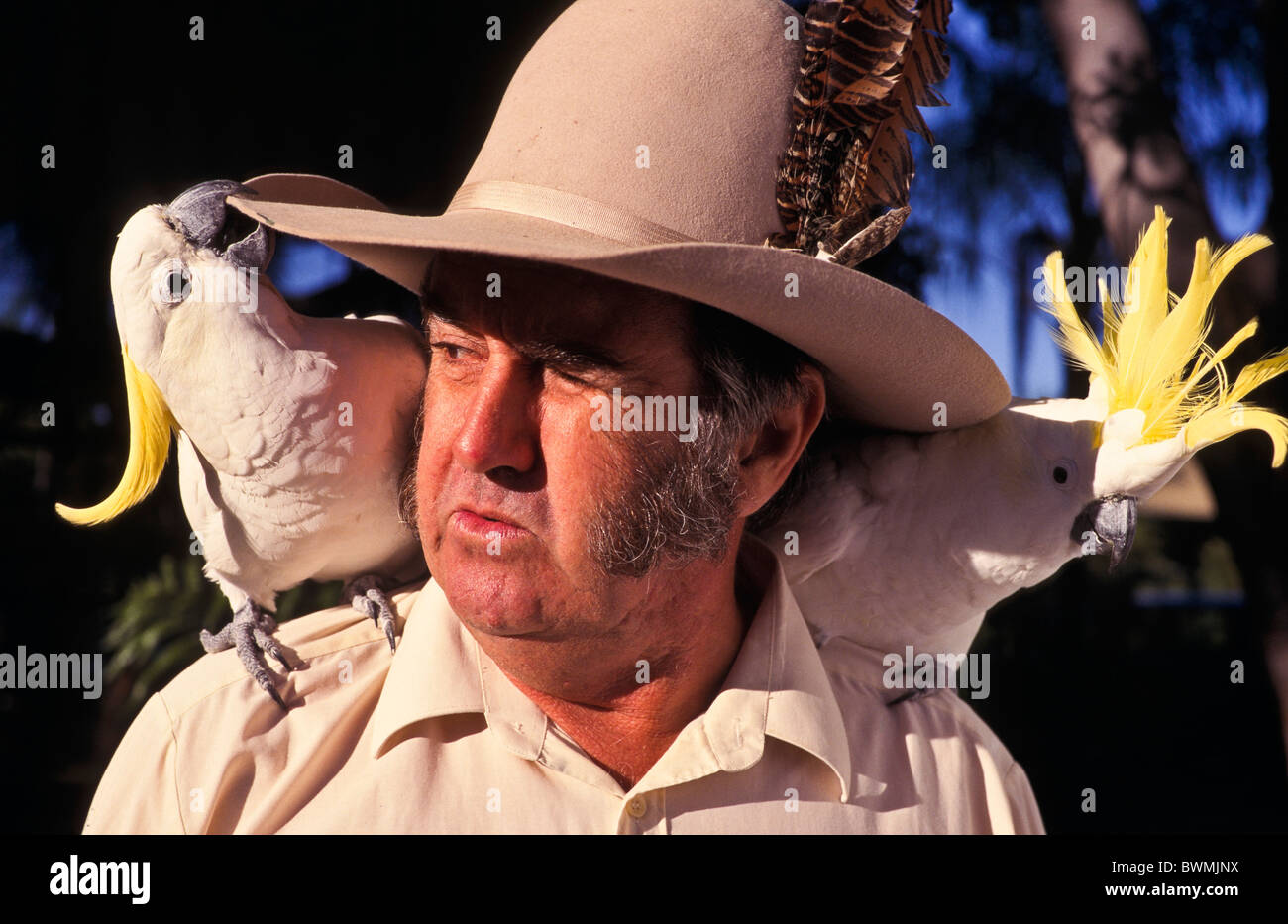 Man and performing cockatoos, Australia Stock Photo - Alamy