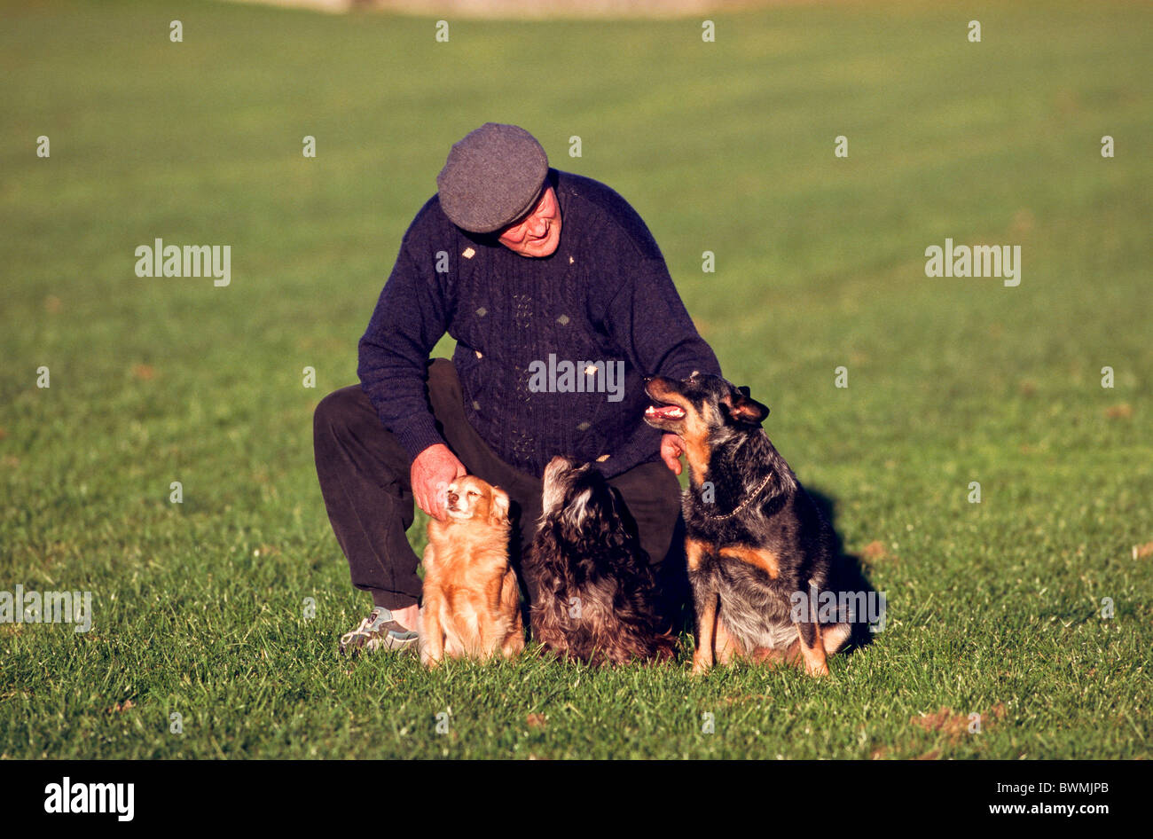 Clever training teaching hi-res stock photography and images - Alamy