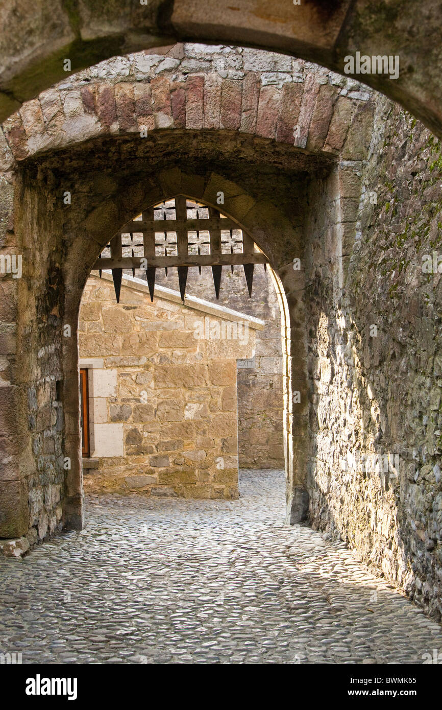Cahir Castle. Ireland Stock Photo - Alamy
