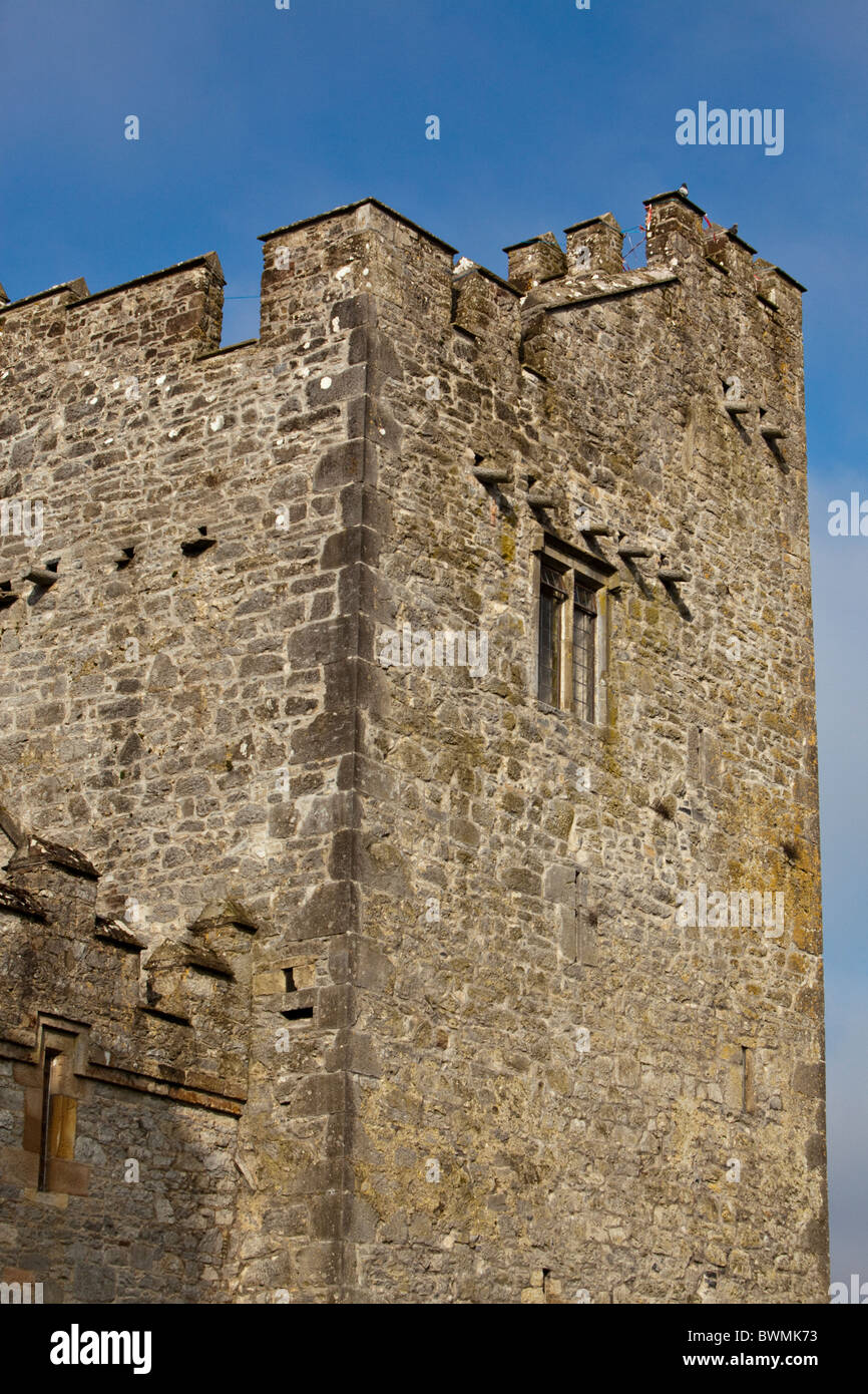 Cahir Castle. Ireland Stock Photo - Alamy
