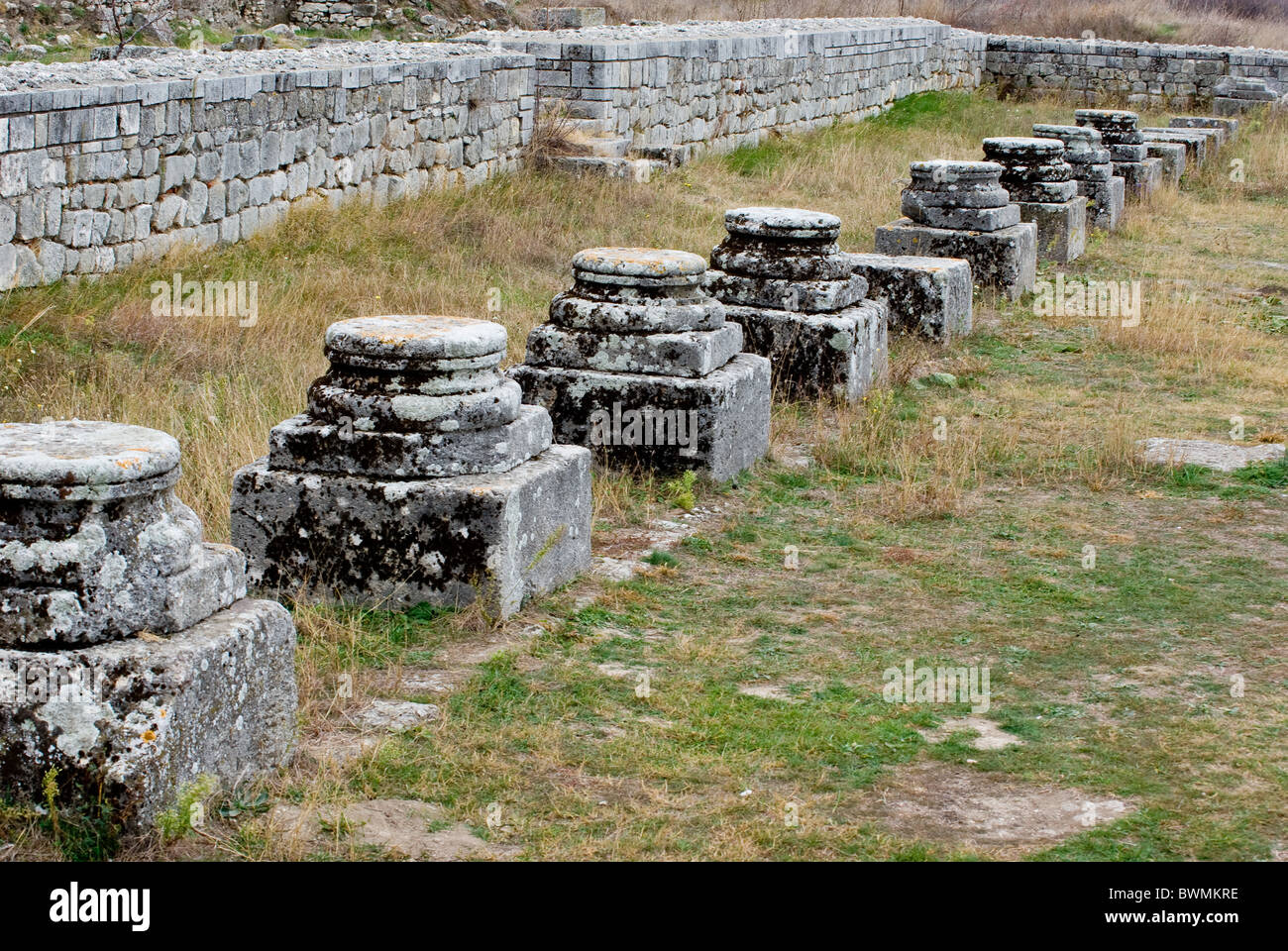 Tige stone hi-res stock photography and images - Alamy