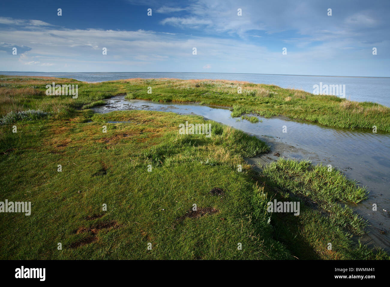 Coastal landscapes from denmark in Djursland nearby ørsted Stock Photo ...