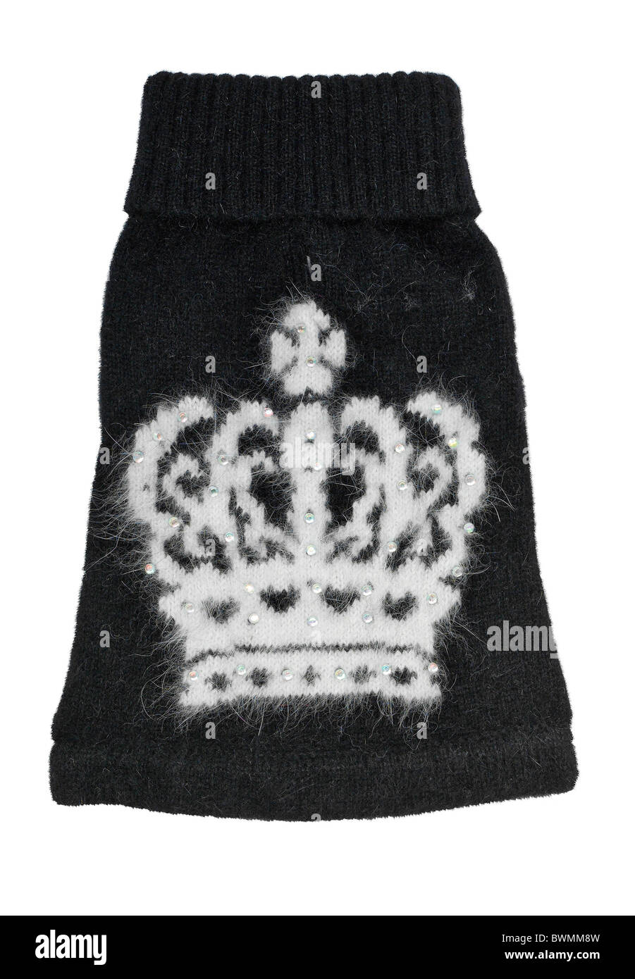 Wollen fluffy coat for a small dog Stock Photo - Alamy