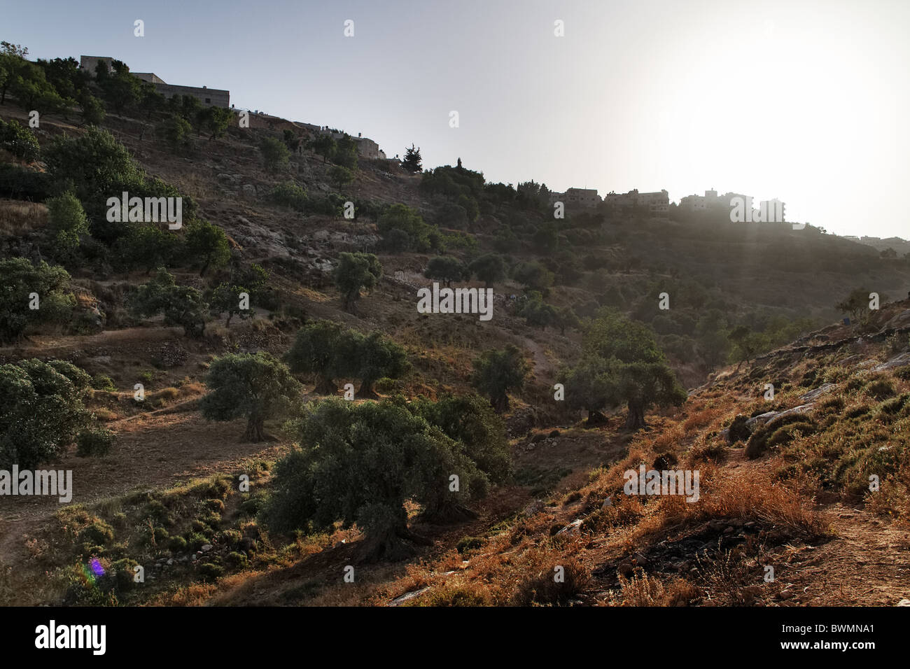 Palestinian Authority area Christian village of Taybeh Stock Photo - Alamy