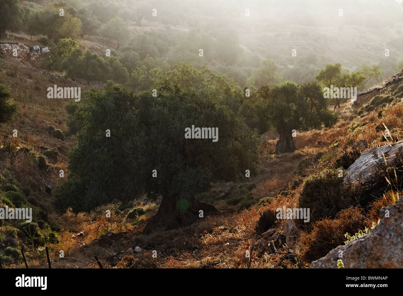 Palestinian Authority area Christian village of Taybeh Stock Photo - Alamy