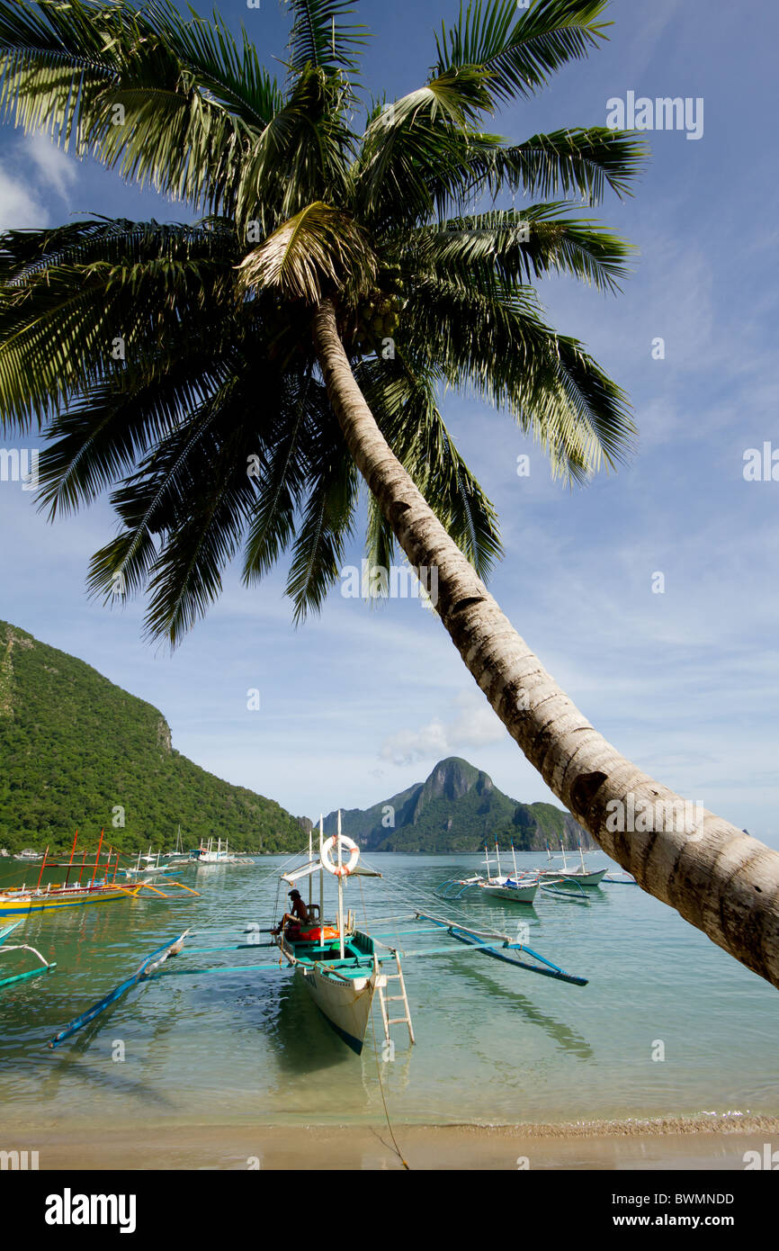 A palm tree leans over a beach with a traditional Philippine bangka ...