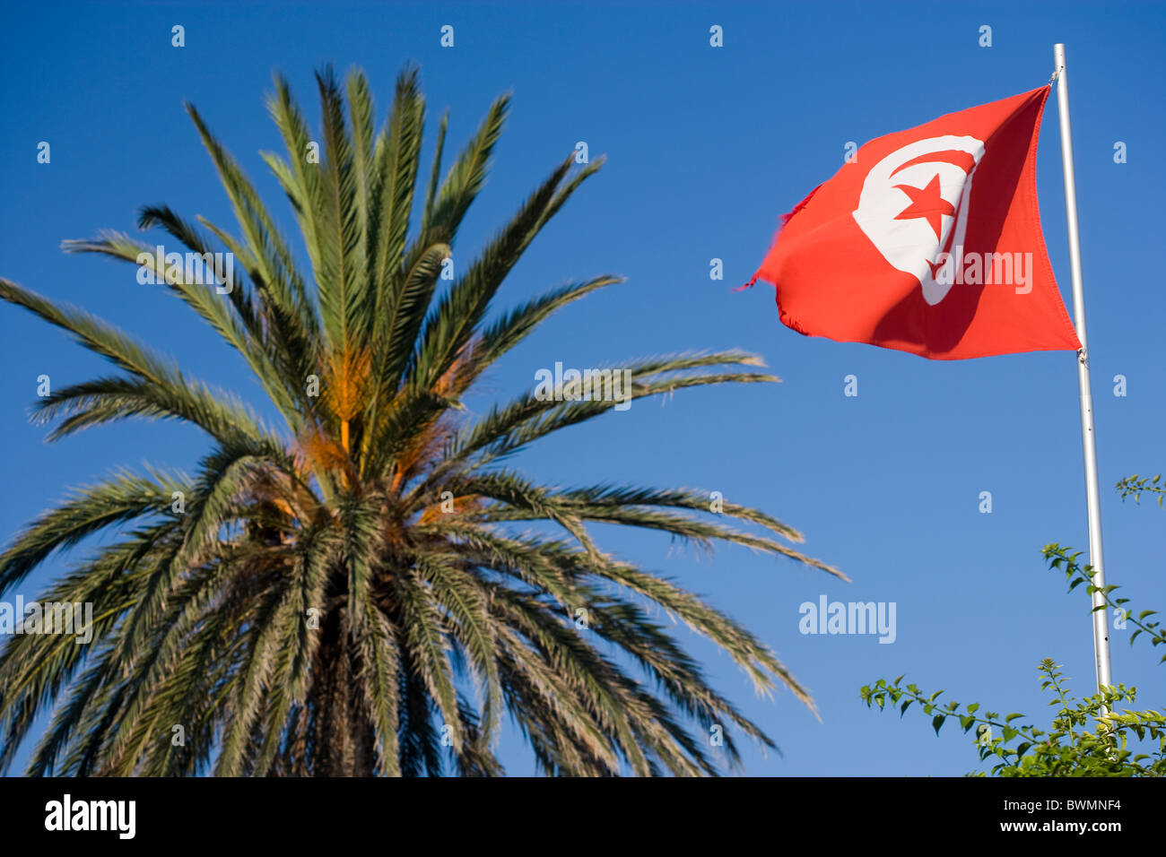Tunisia flag red crescent moon hi-res stock photography and images - Alamy