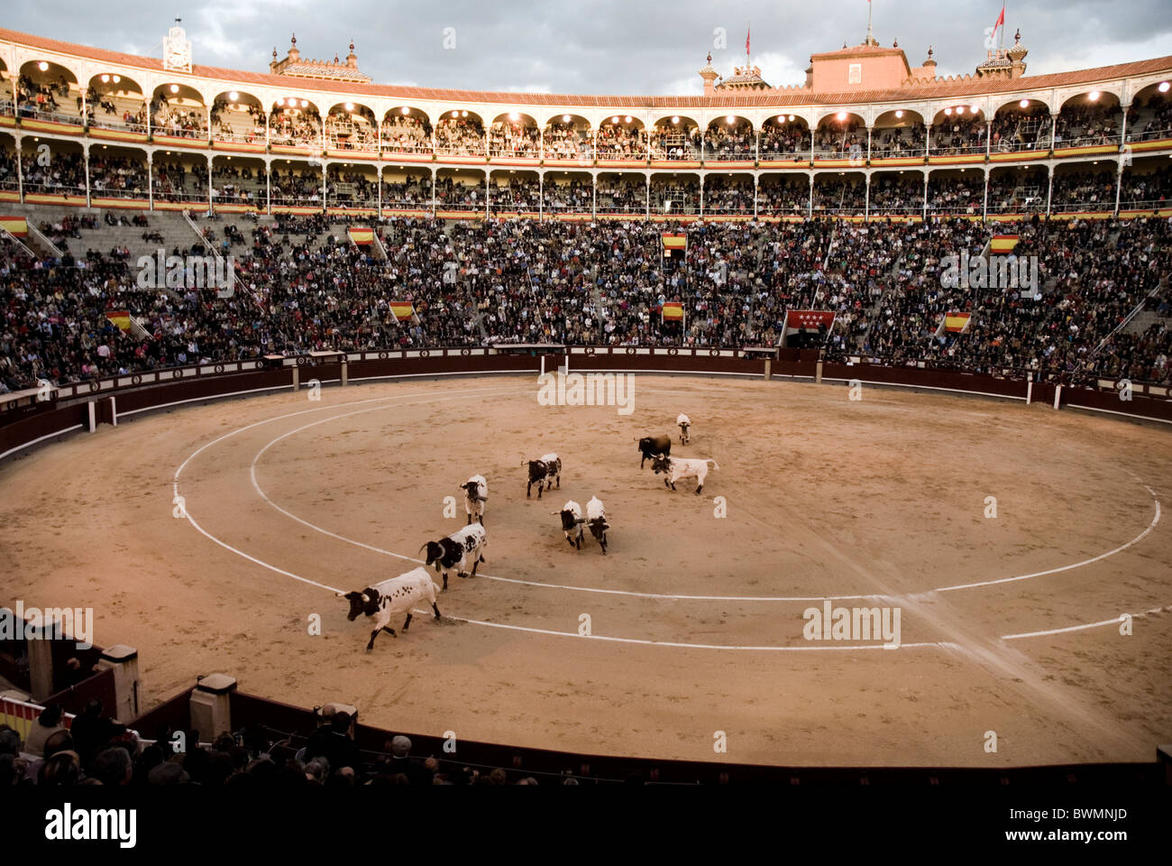 Bullfight in Las Ventas bullring. Madrid . Spain bullfight bullfighter ...