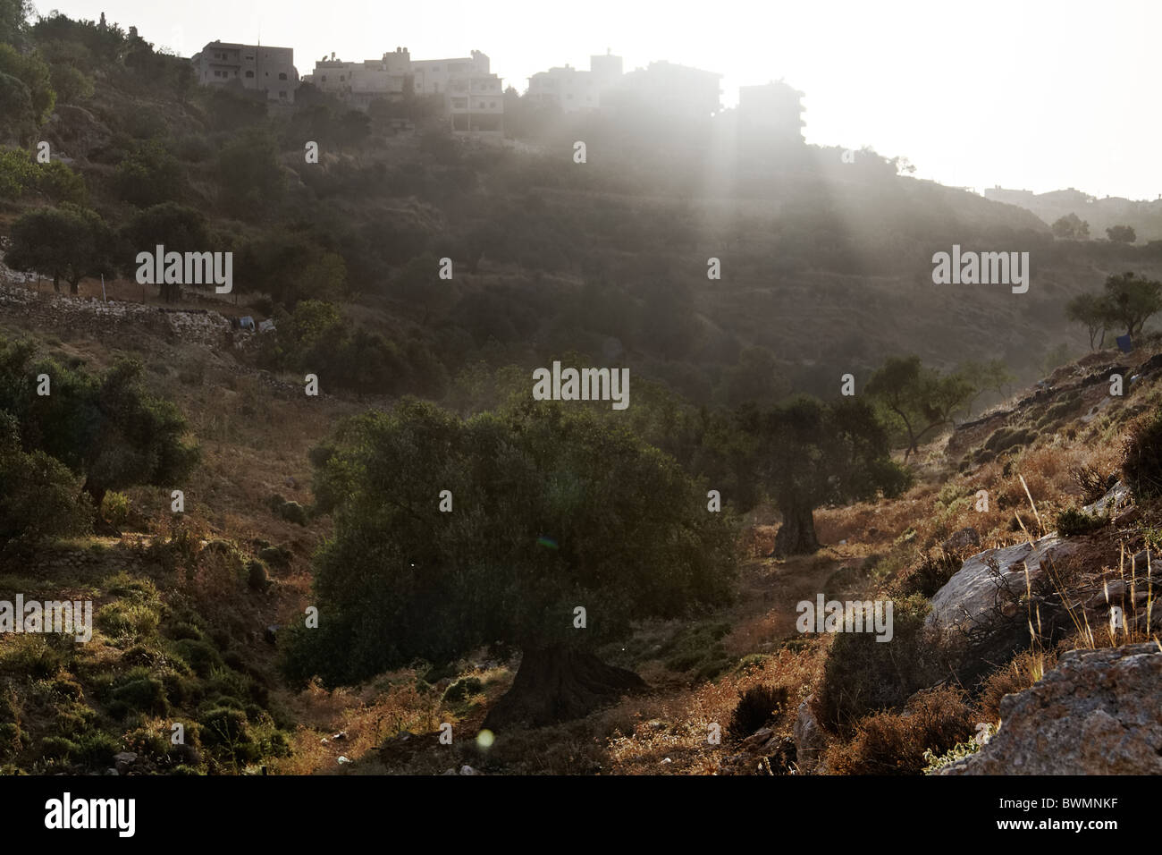 Palestinian Authority area Christian village of Taybeh Stock Photo - Alamy