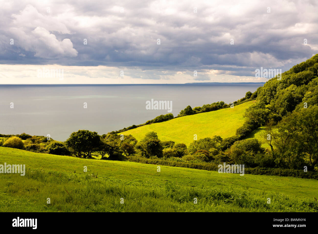 Devon south coast countryside hi-res stock photography and images - Alamy