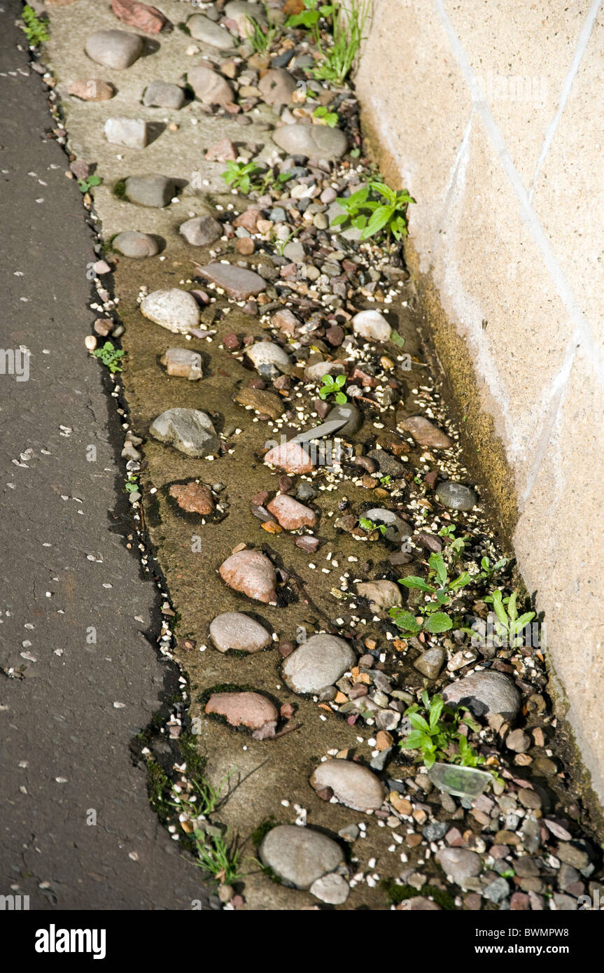 Water seeping up through the ground next to a building Stock Photo - Alamy
