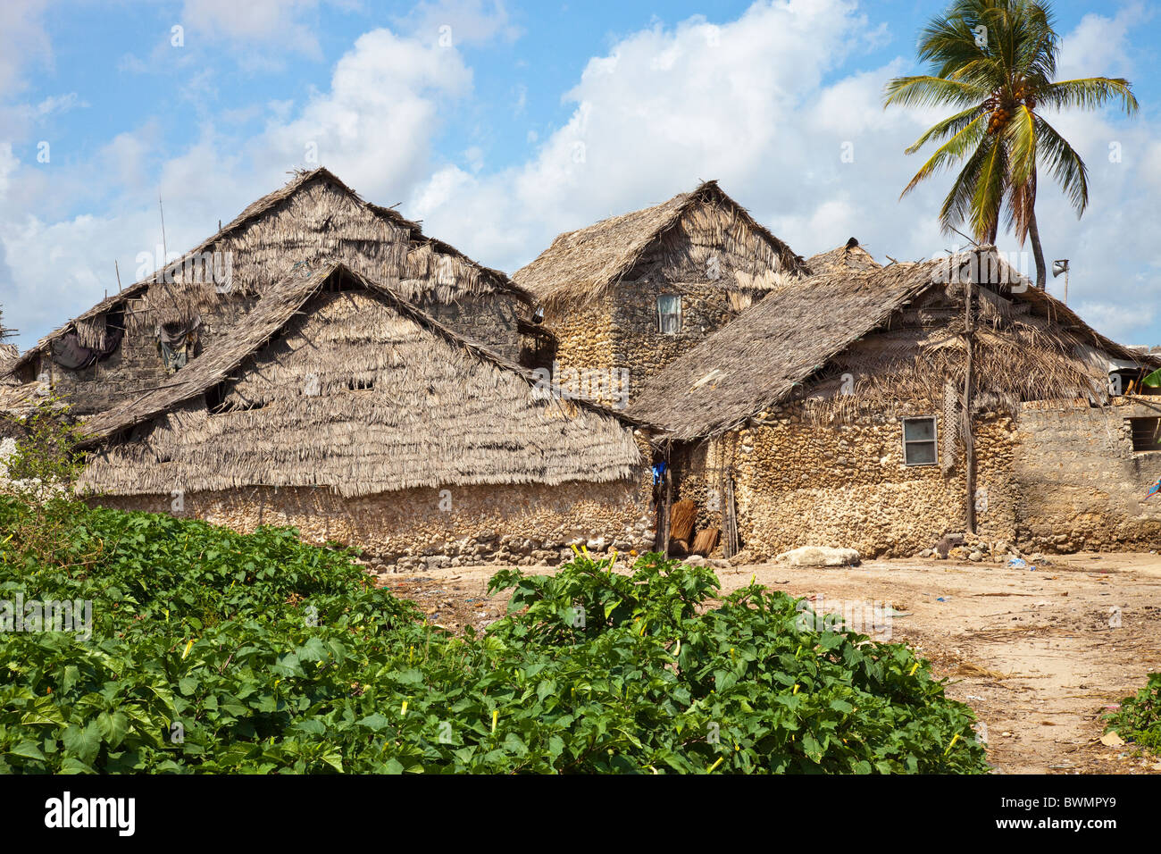 Pate kenya hi-res stock photography and images - Alamy